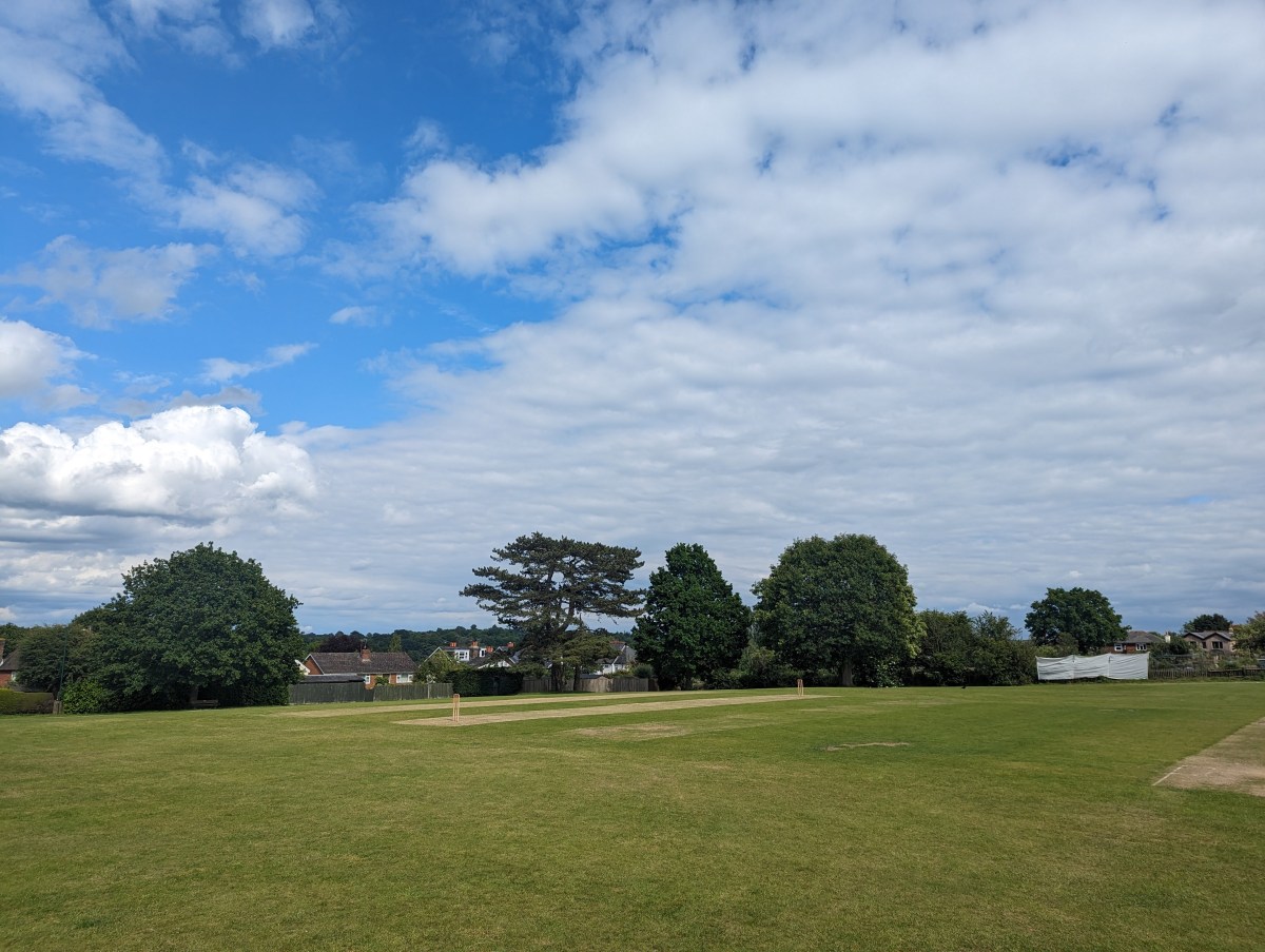 2nd XI match reports – June 2024 – Speldhurst Cricket Club